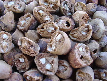 African Marula oil benefits for skin and hair – HANDMADE NATURALS